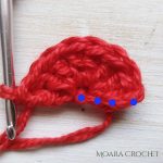 Crochet Poppy Flower | Free Crochet Pattern