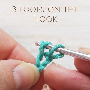 Crochet Succulent String of Pearls| Free Pattern