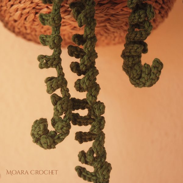 Crochet Fern Pattern - Step by Step tutorial with