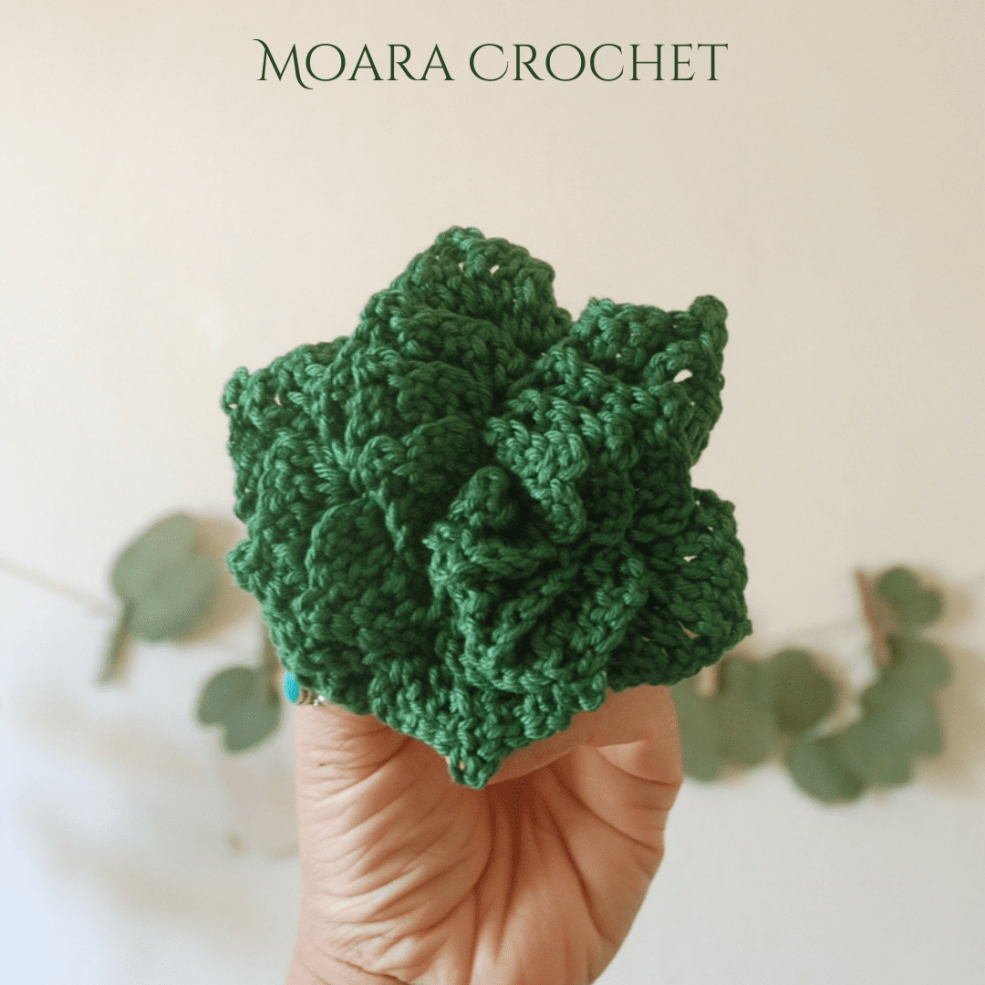 Crochet Succulent Flower Pattern
