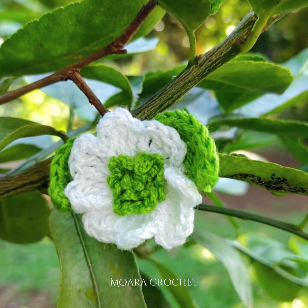 Crochet Dogwood Flower