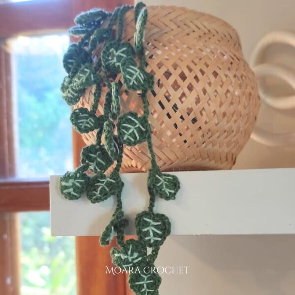 Free Crochet Succulent Falling Hearts