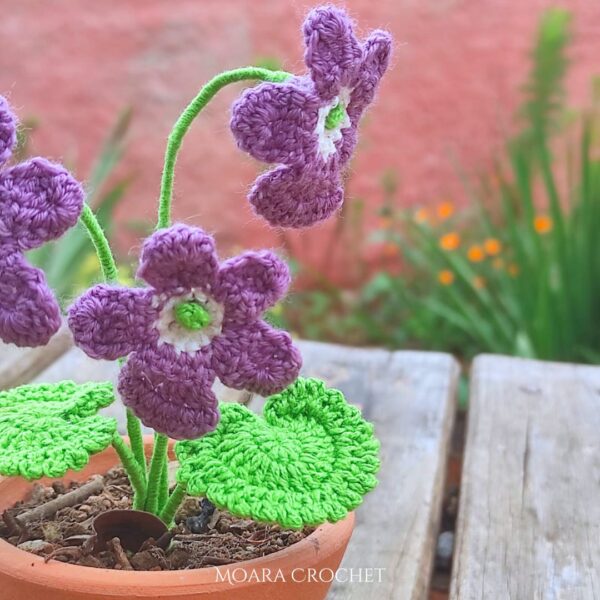 Crochet Violet
