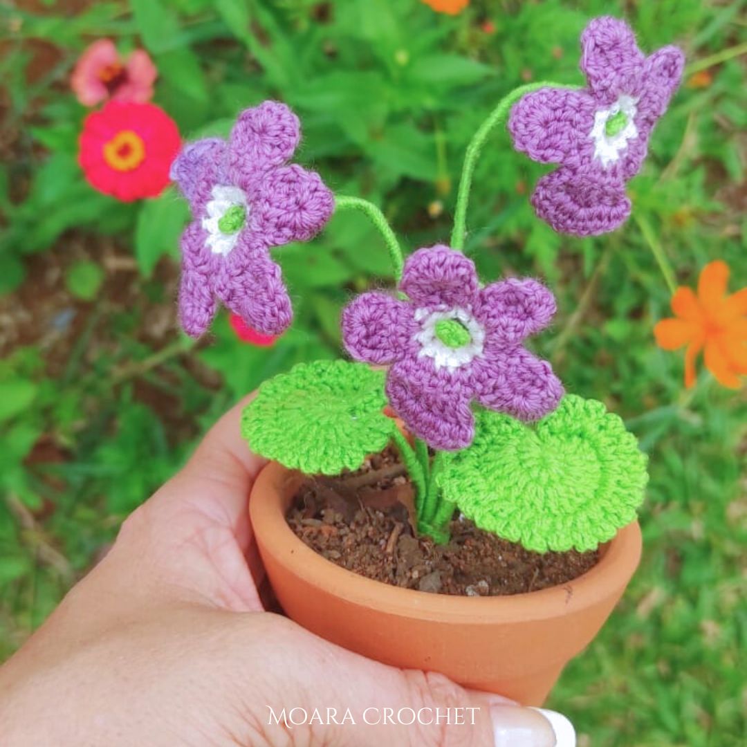 Crochet Violet