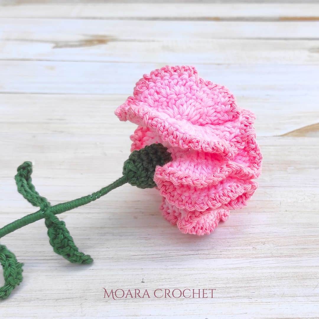 Crochet Carnation Flower Free Pattern-