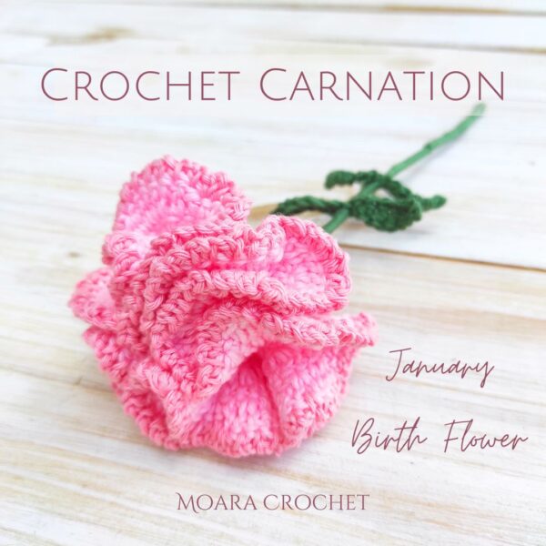 Crochet Carnation Flower Free Pattern-