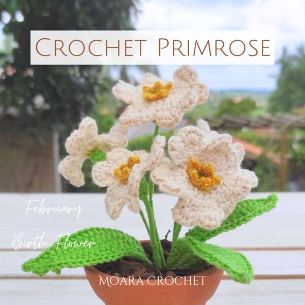 Crochet Primrose Pattern