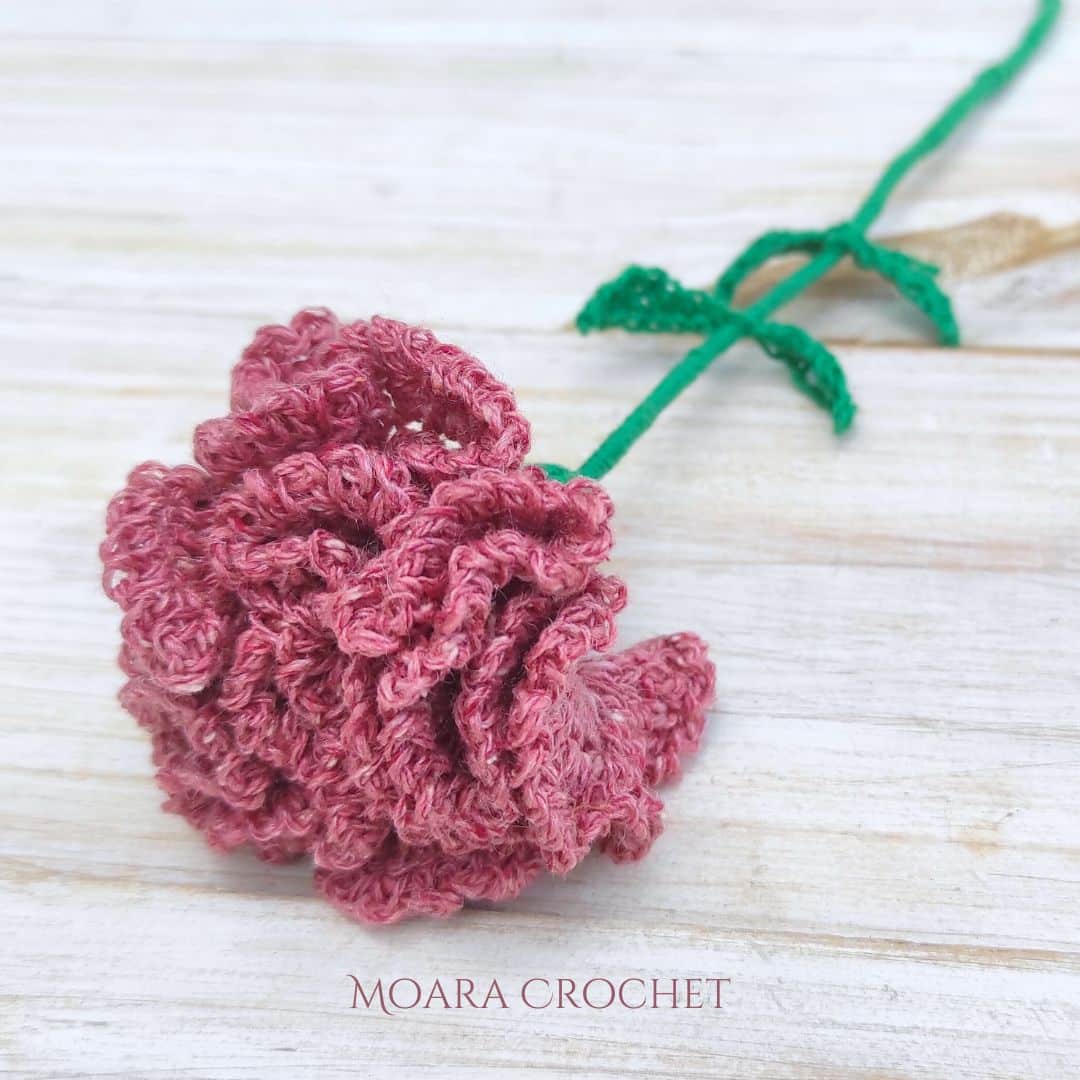 Crochet Carnation Flower Free Pattern-