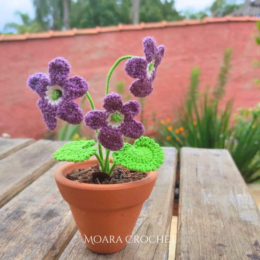 Crochet Violet