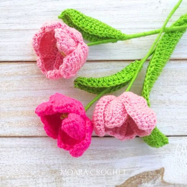 How to Crochet Tulip Flowers