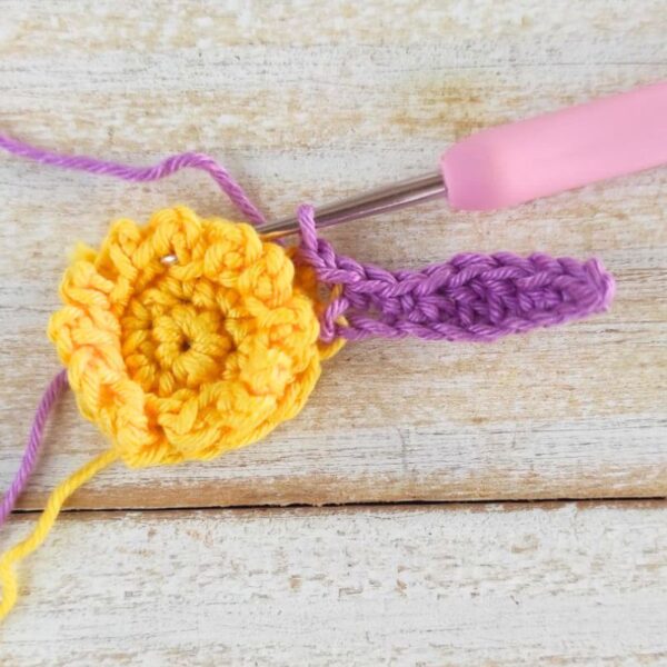 Crochet Aster Flower - Free Crochet Birth Flower September